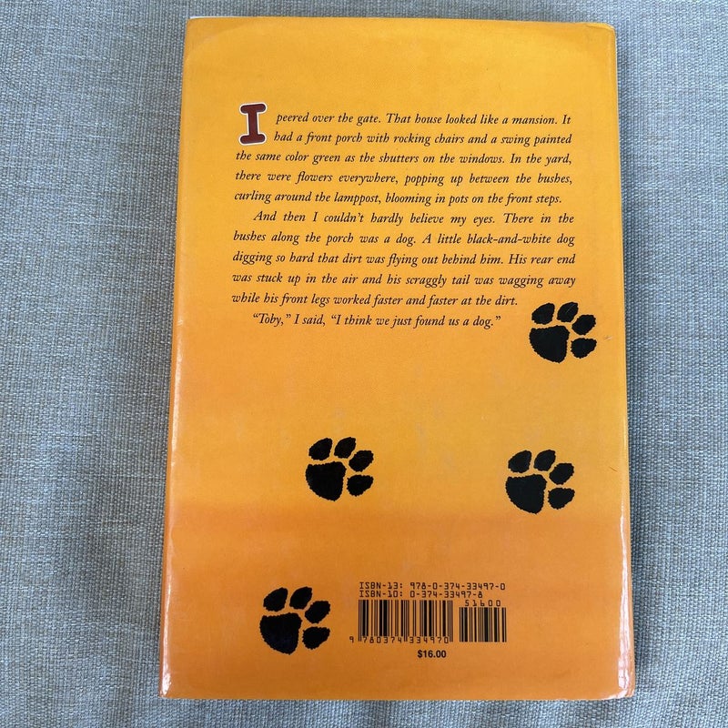 How to Steal a Dog by Barbara O'Connor, Hardcover | Pangobooks