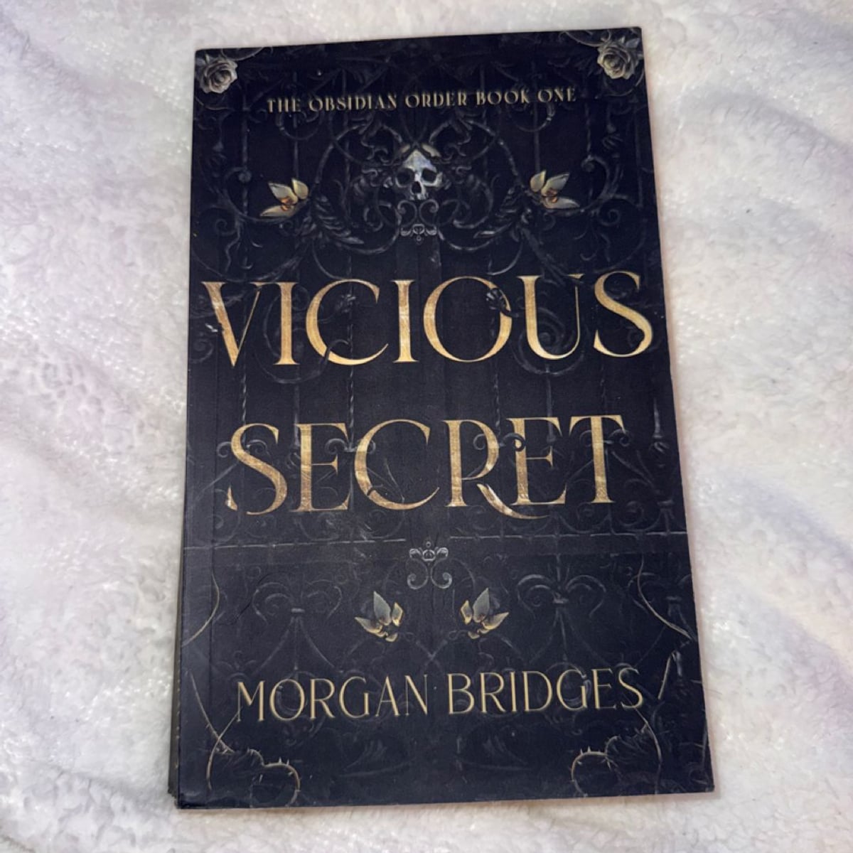 Vicious Secret by Morgan Bridges, Paperback | Pangobooks