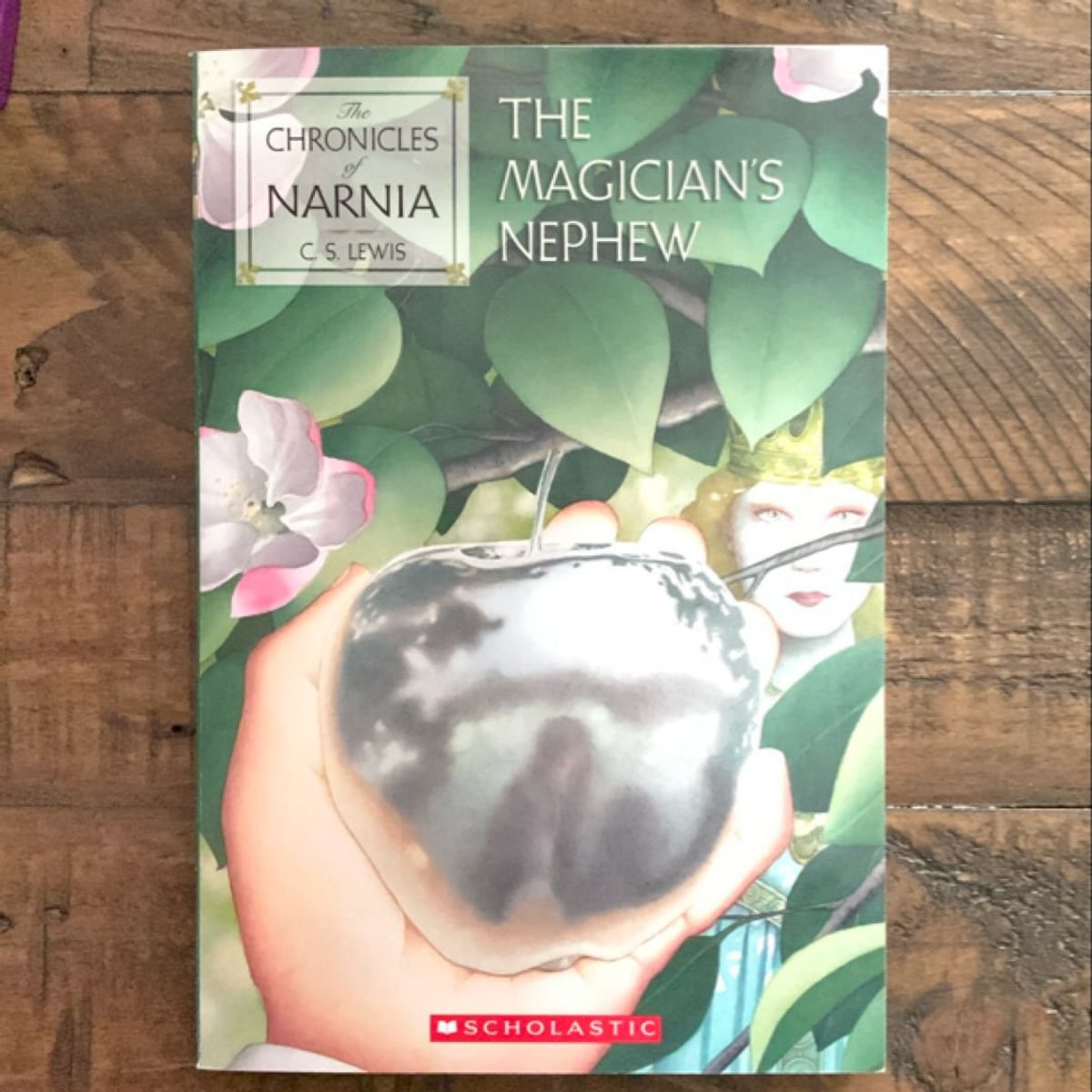 The Magician's Nephew by C. S. Lewis, Paperback | Pangobooks