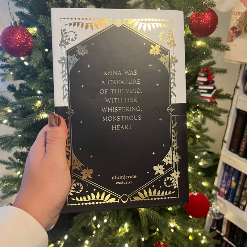 The Sun and the Void (Fairyloot) by Gabriela Romero Lacruz, Hardcover | Pangobooks