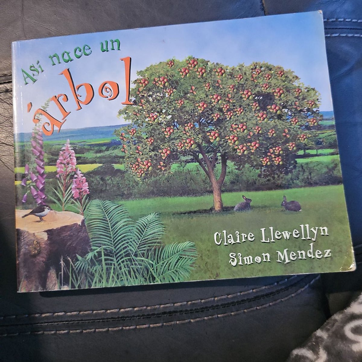 Tree by Claire Llewellyn