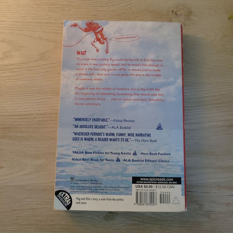 As Easy As Falling off the Face of the Earth by Lynne Rae Perkins