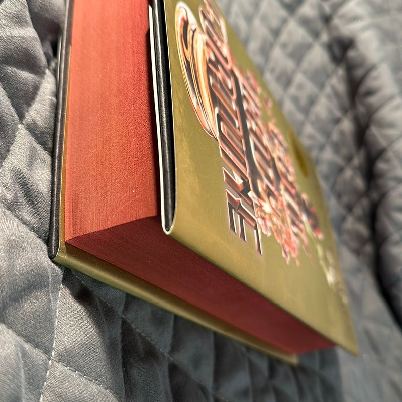 Foul Lady Fortune - Barnes and Noble Exclusive Edition by , Hardcover ...