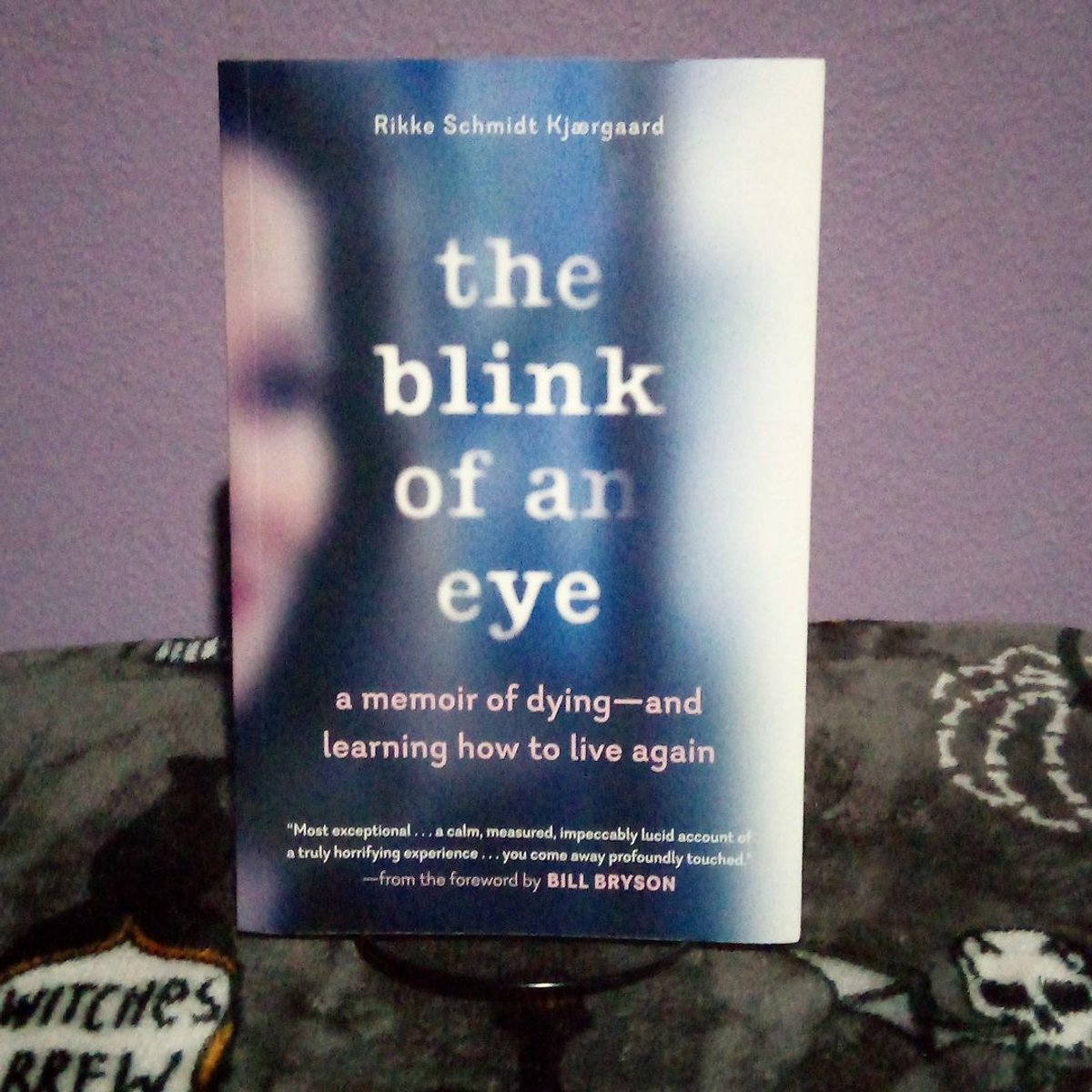 The Blink of an Eye by Rikke Schmidt Kjærgaard, Bill Bryson
