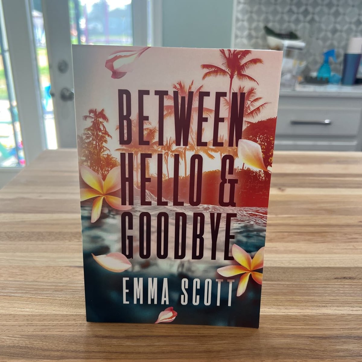 Between Hello & Goodbye by Emma Scott, Paperback | Pangobooks