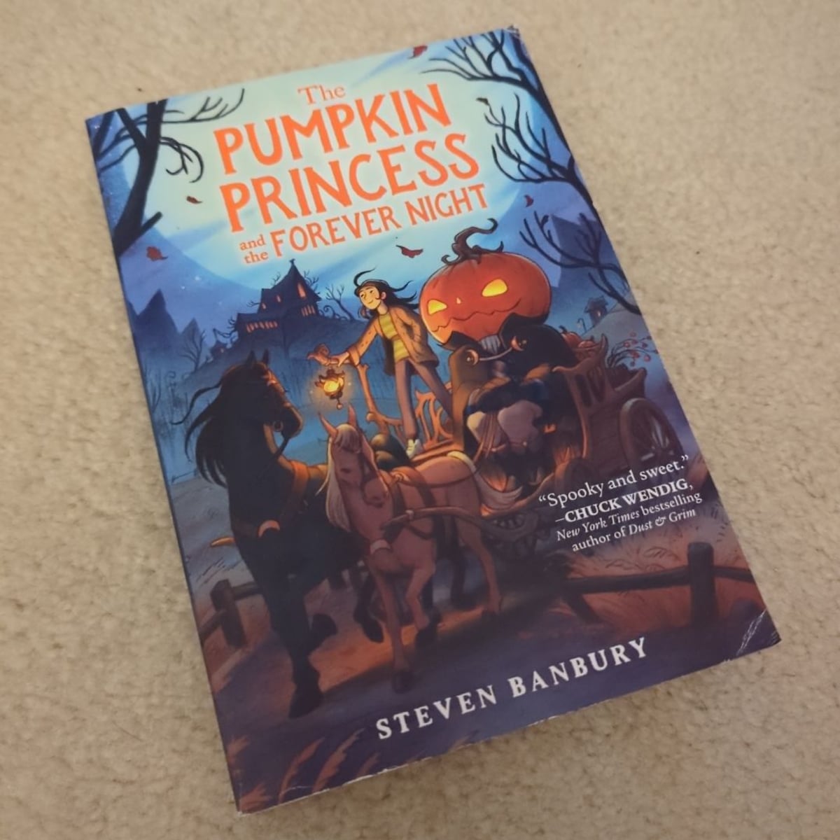 The Pumpkin Princess and the Forever Night by Steven Banbury