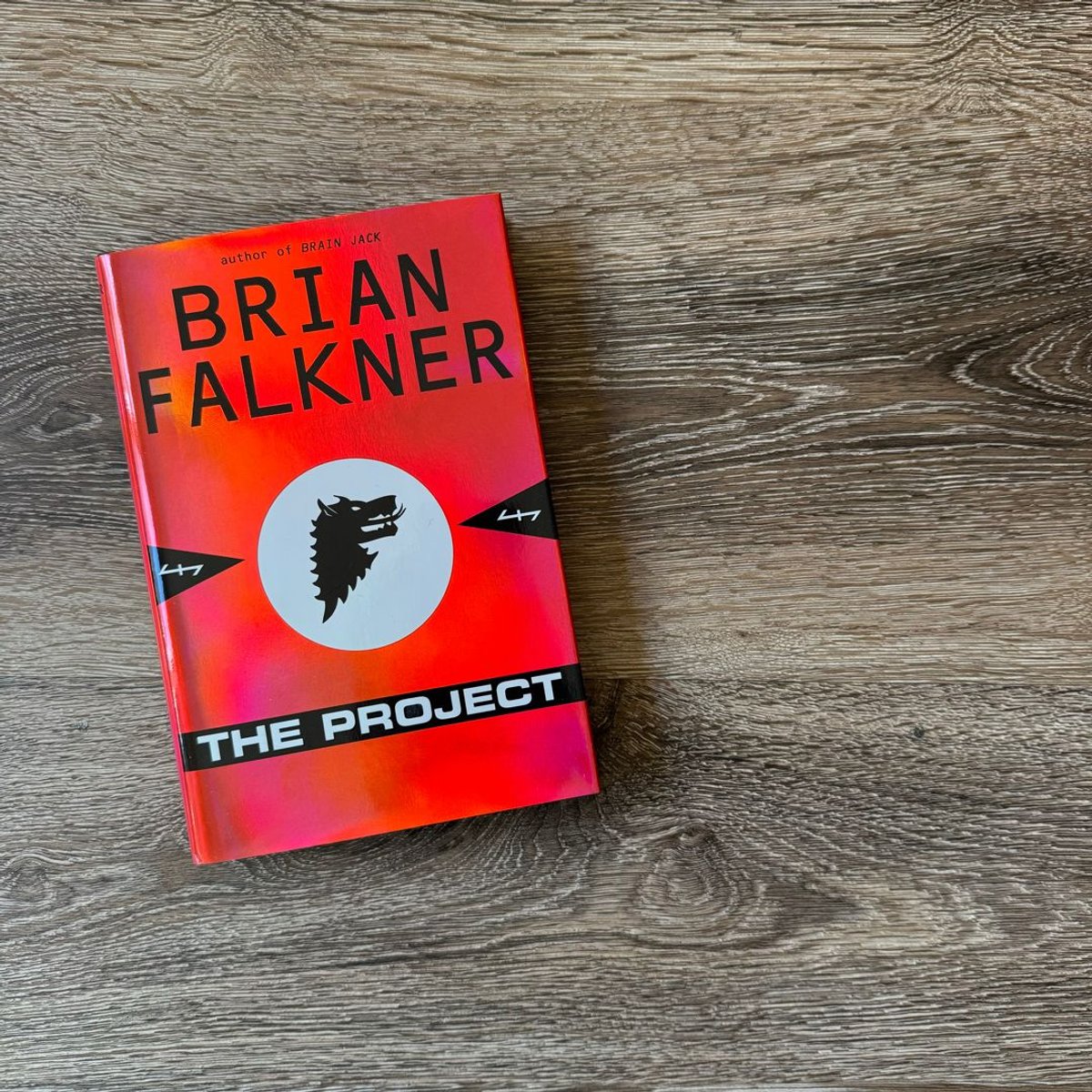 The Project by Brian Falkner
