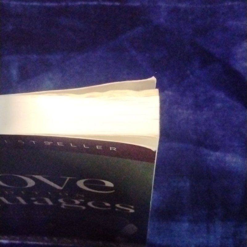 The 5 Love Languages Men's Edition by Gary Chapman