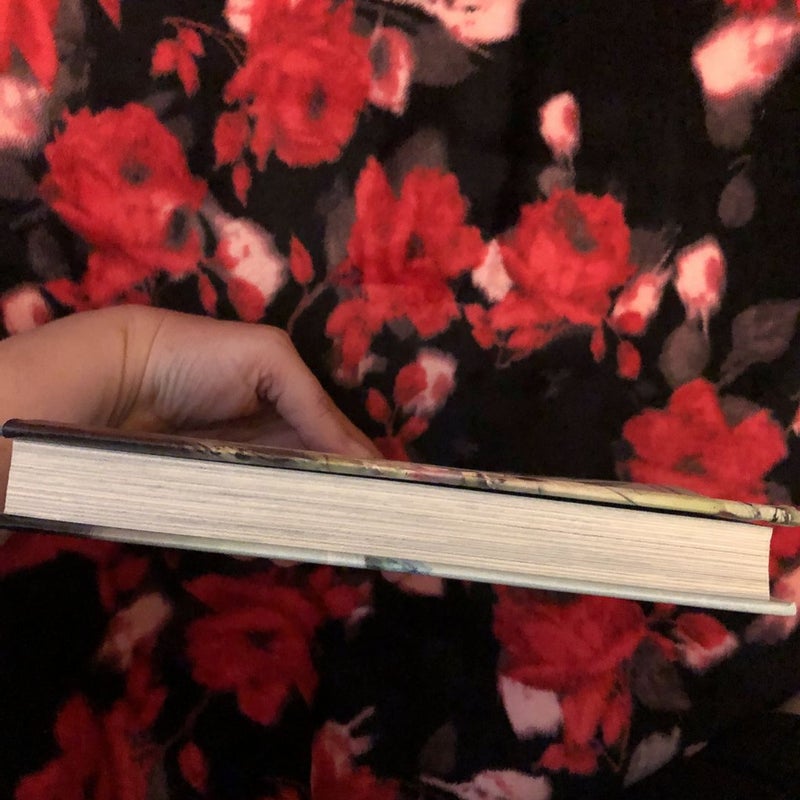 A Wolf Called Wander by Rosanne Parry, Hardcover | Pangobooks