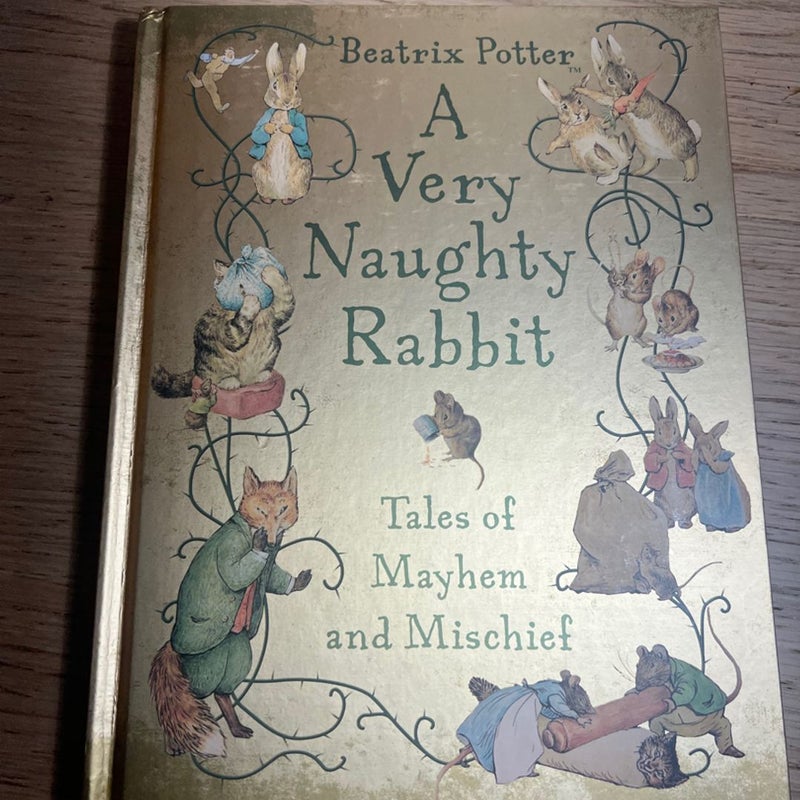 A Very Naughty Rabbit by Beatrix Potter, Hardcover | Pangobooks