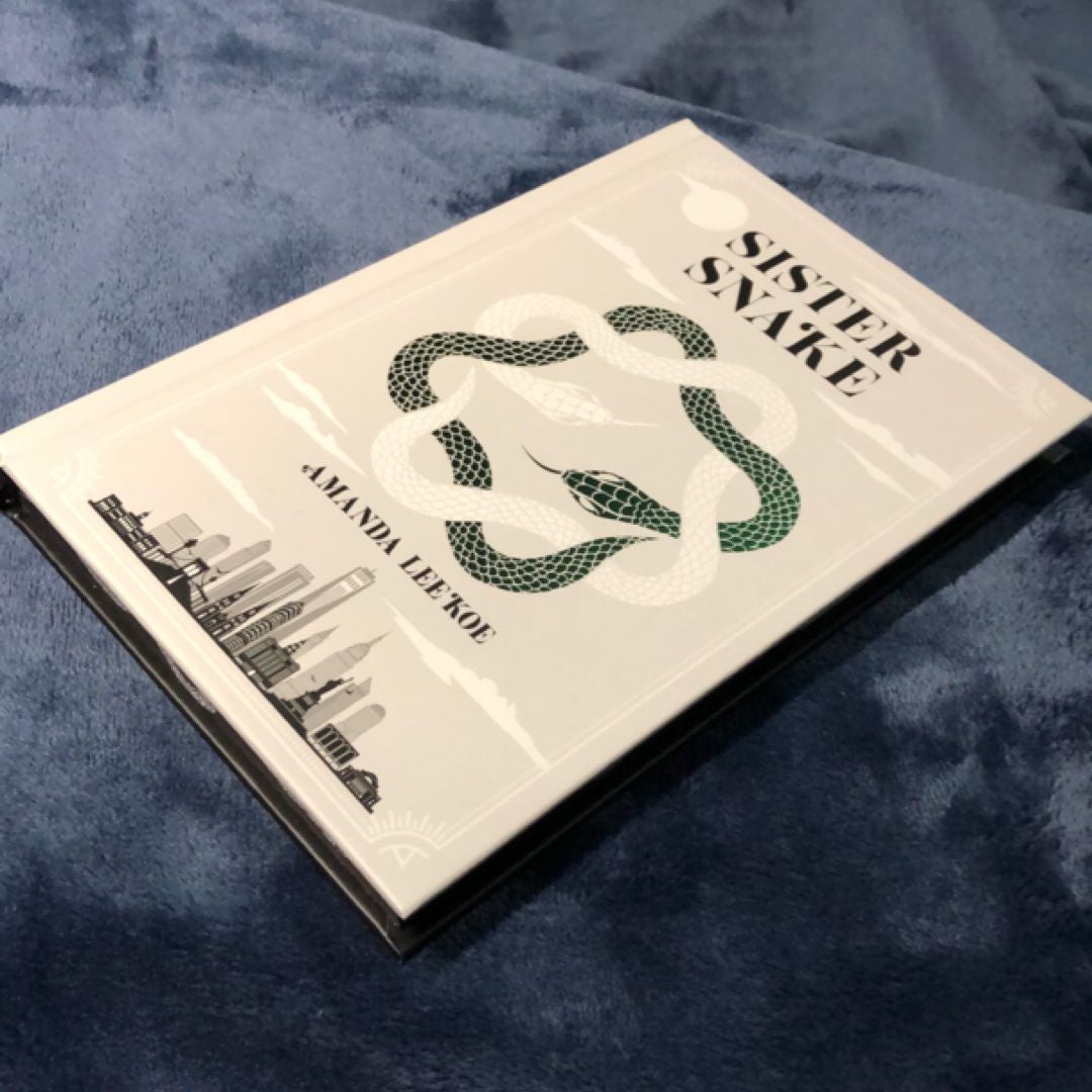 Sister Snake NEW Litjoy Sprayed Edges by Amanda Lee Koe, Hardcover ...