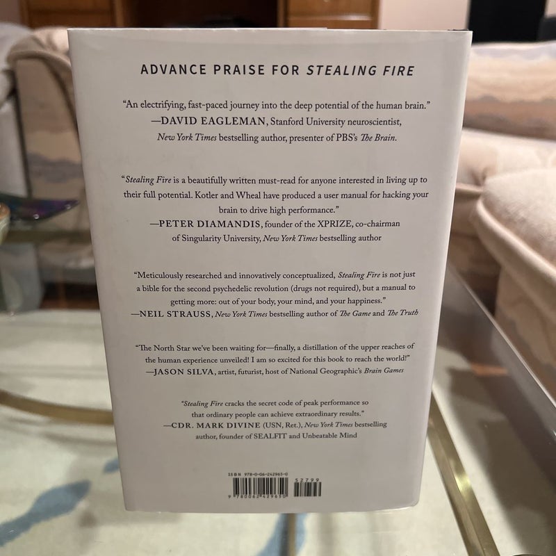 Stealing Fire by Steven Kotler, Hardcover | Pangobooks