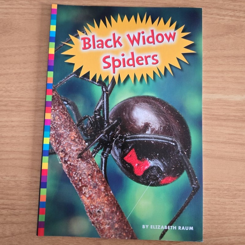 Black Widow Spiders by Elizabeth Raum