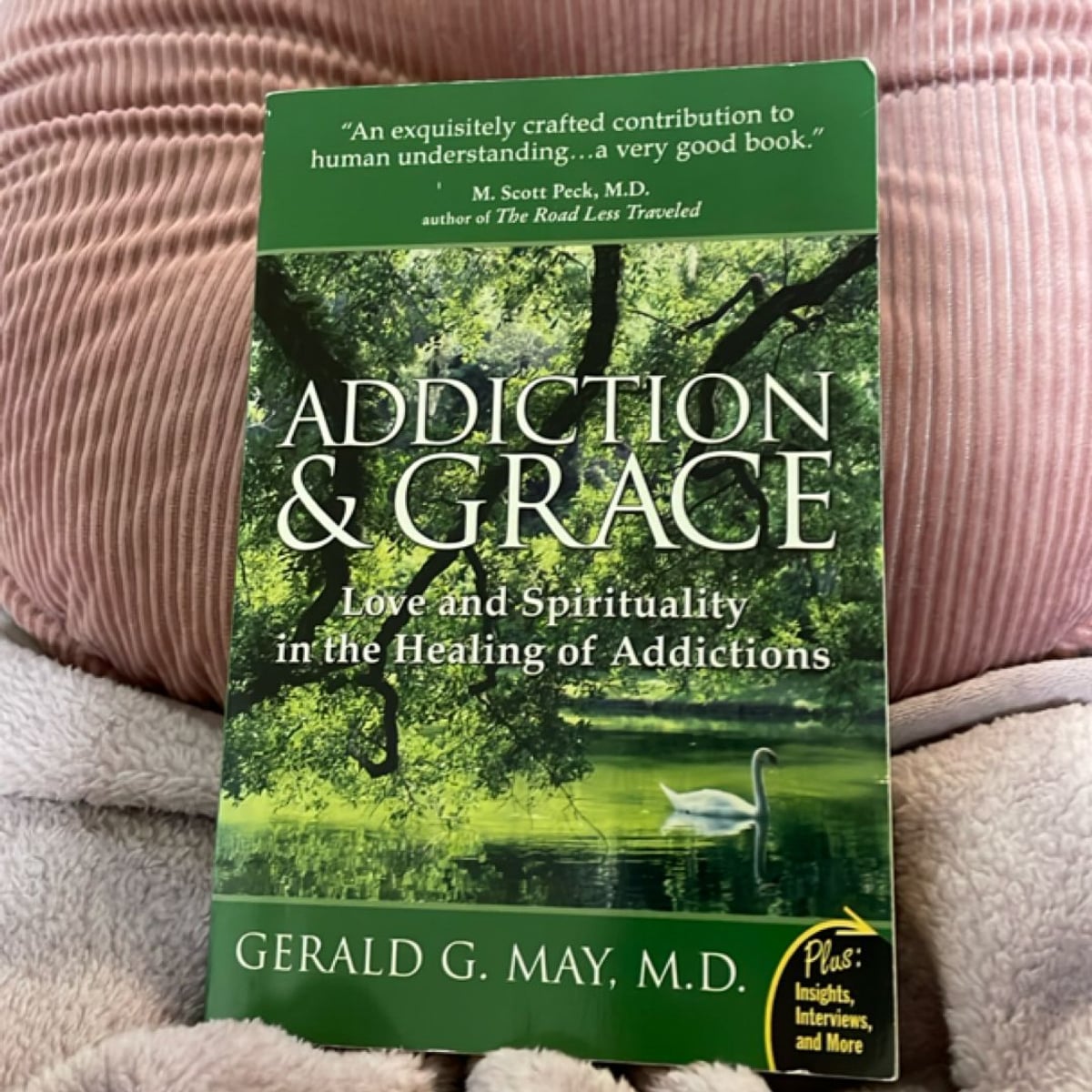 Addiction and Grace by Gerald G. May