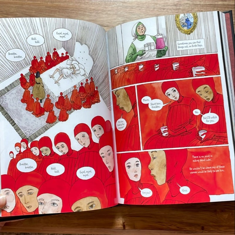 The Handmaid's Tale (Graphic Novel) by Margaret Atwood