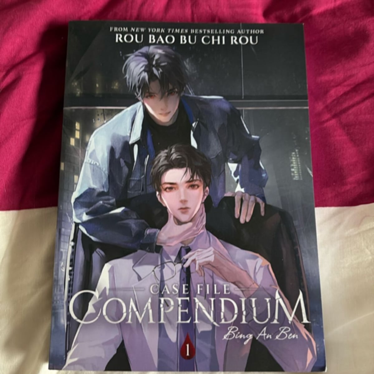 Case File Compendium: Bing an Ben (Novel) Vol. 1 by Rou Bao Rou Bao Bu ...