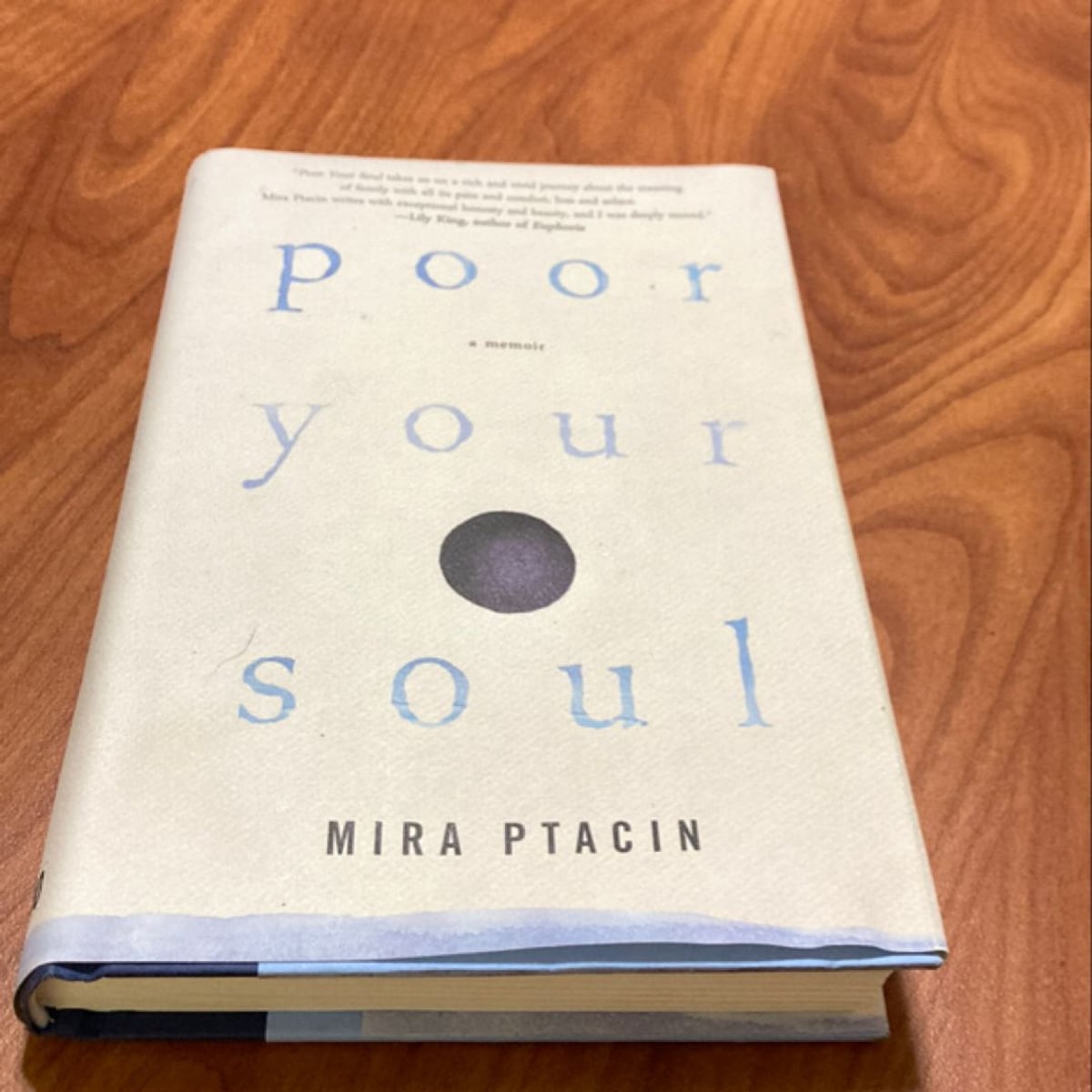 Poor Your Soul by Mira Ptacin