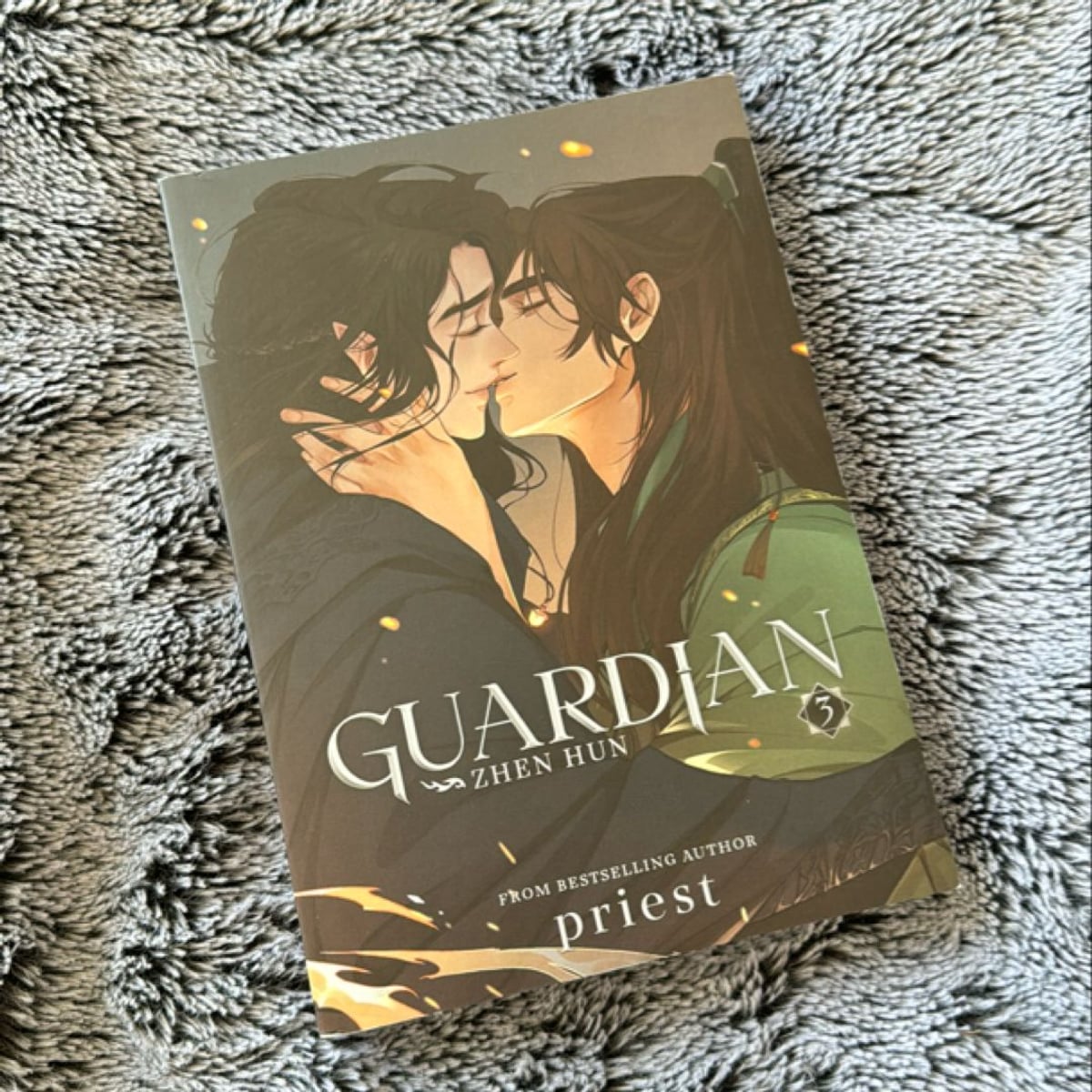 Guardian: Zhen Hun (Novel) Vol. 3 by Priest