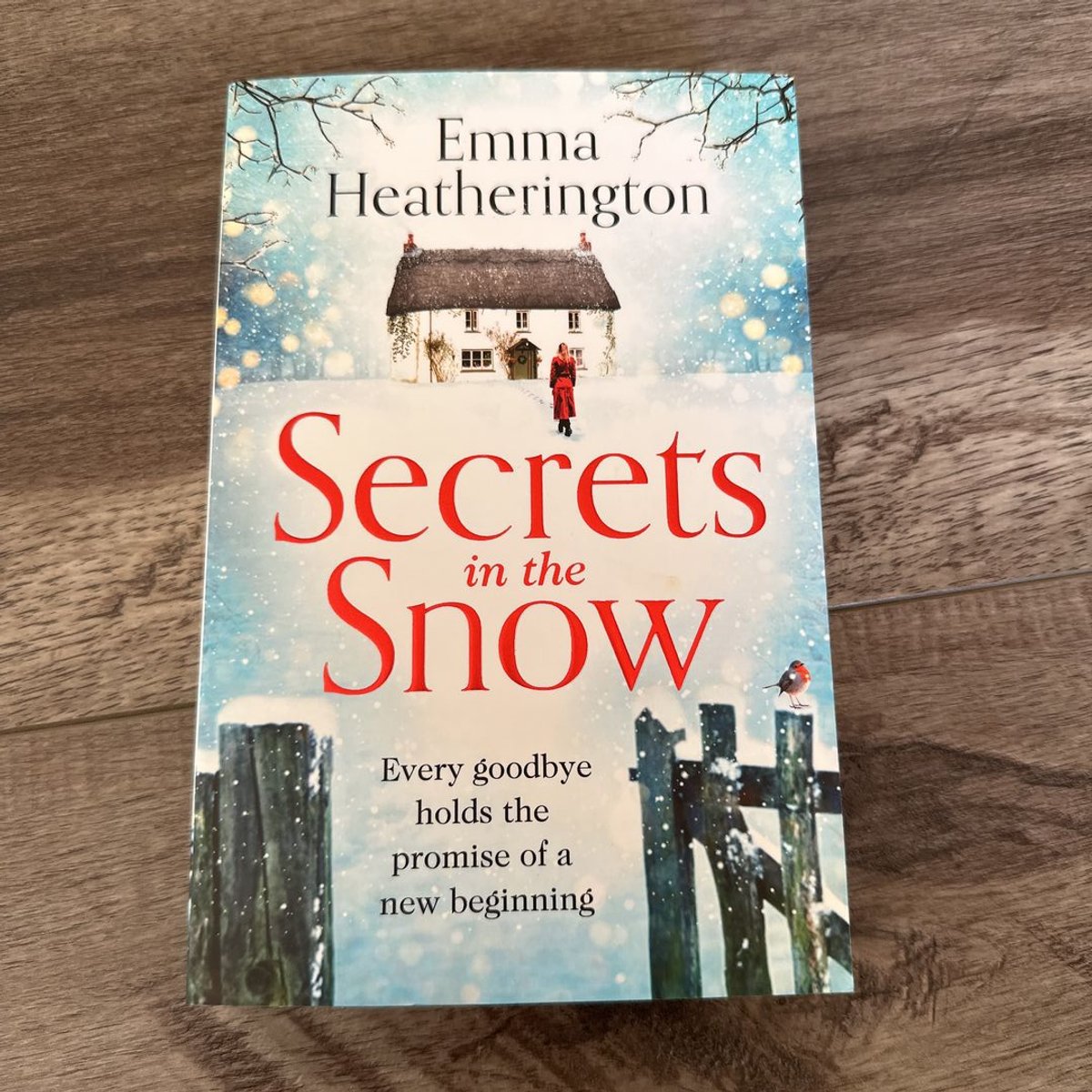 Secrets in the Snow by Emma Heatherington