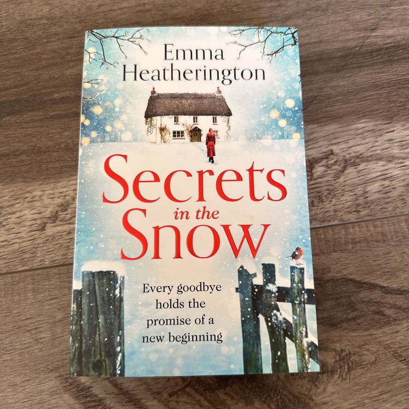 Secrets in the Snow by Emma Heatherington, Paperback | Pango Books