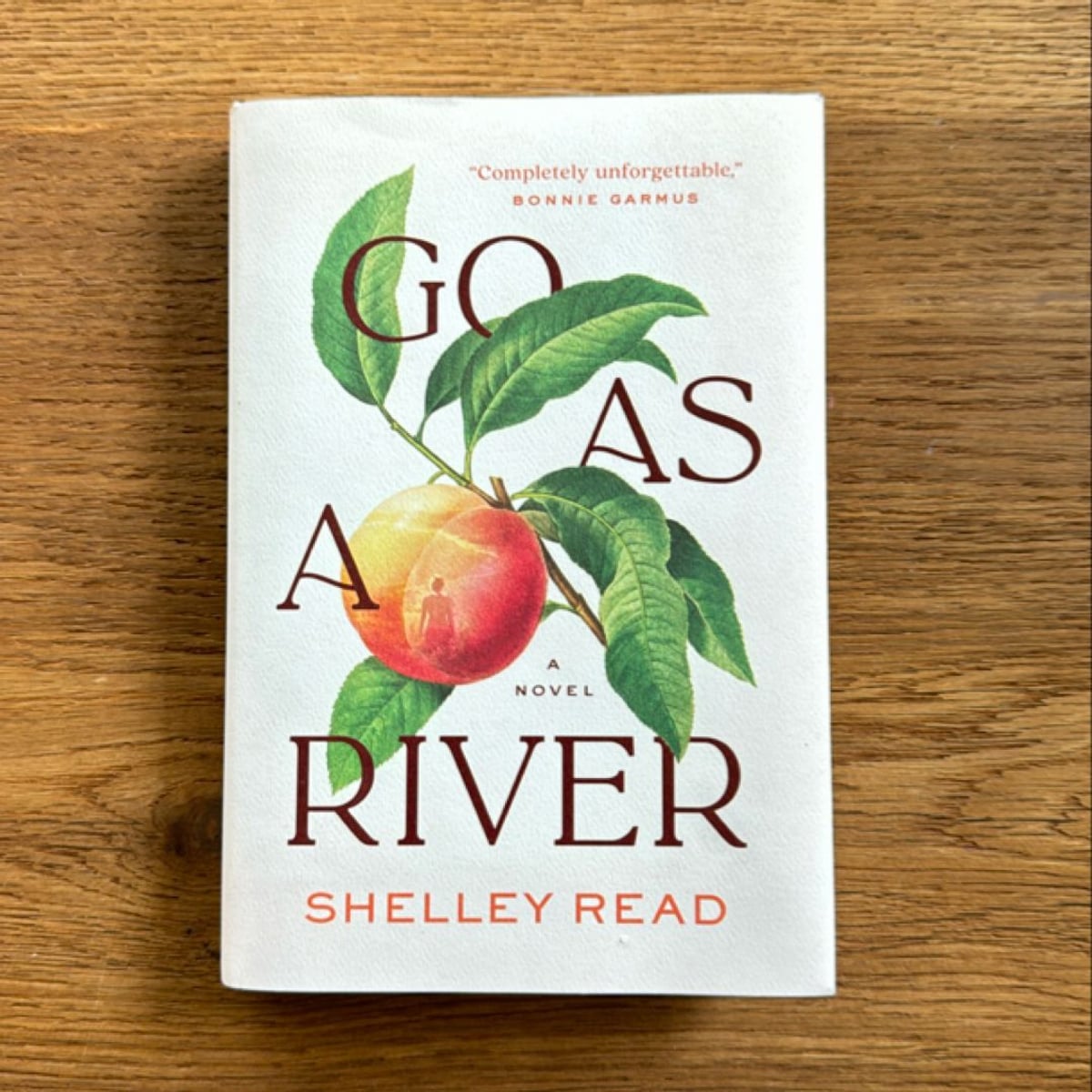Go As a River by Shelley Read, Hardcover | Pangobooks