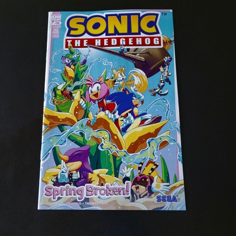 Sonic The Hedgehog: Spring Broken by Trujillo, Paperback | Pangobooks