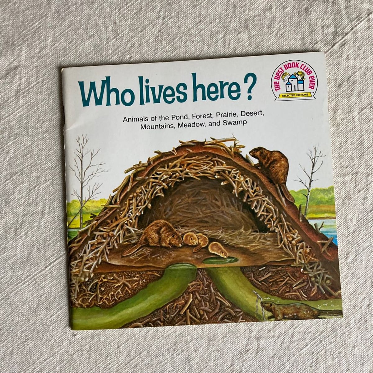 Who Lives Here? by Dorothy Barlowe