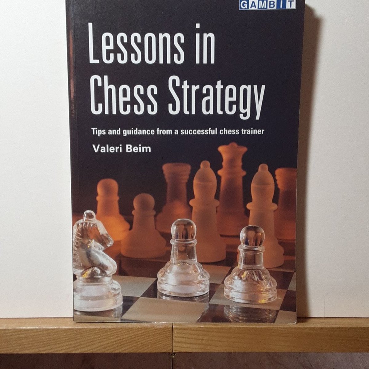 Lessons in Chess Strategy by Valeri Beim
