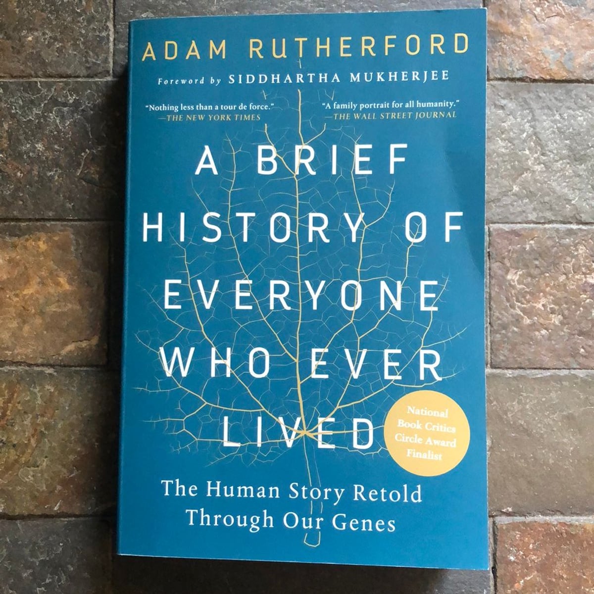 A Brief History of Everyone Who Ever Lived by Adam Rutherford ...