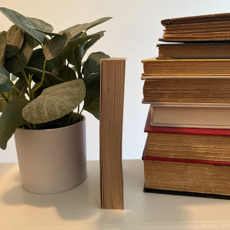 Devil's Workshop by Kate Gallison