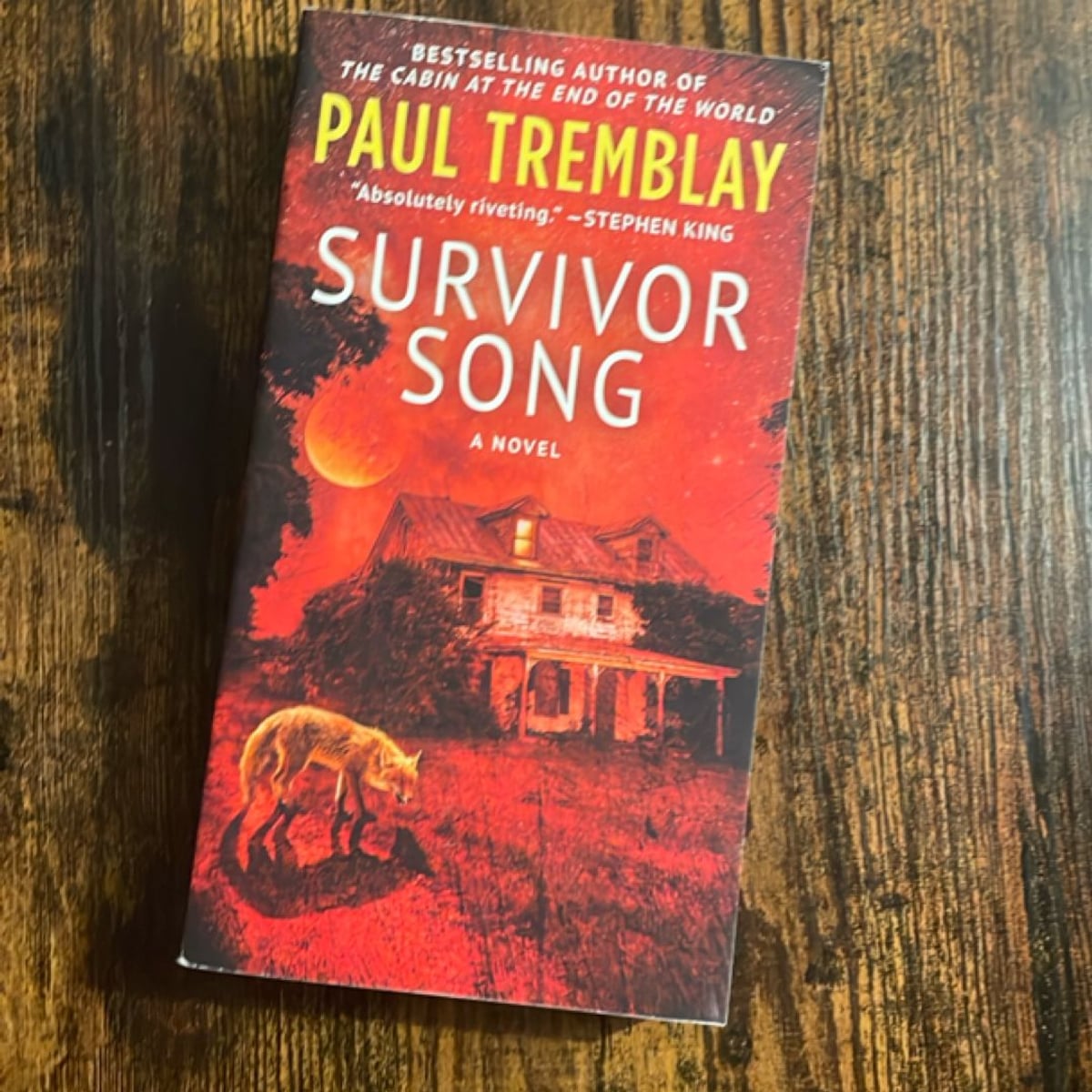 Survivor Song by Paul Tremblay