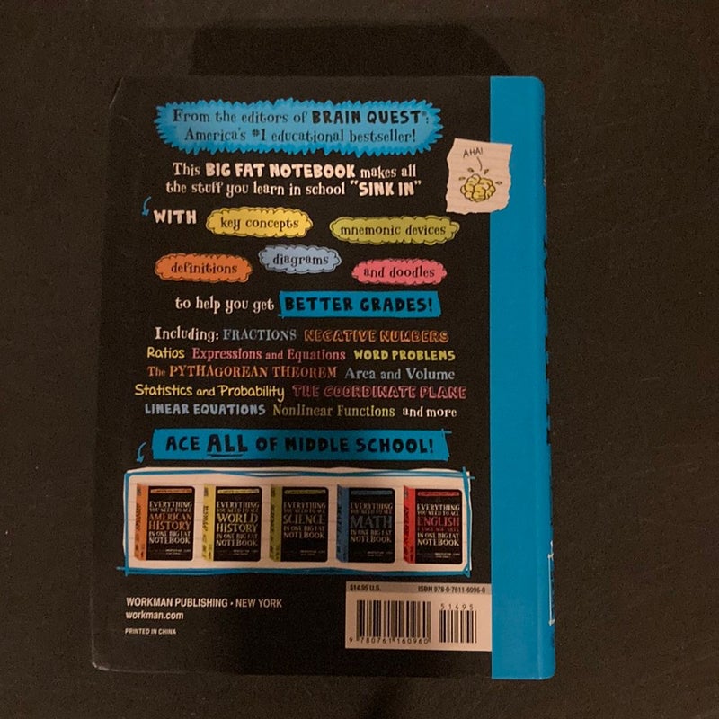 Everything You Need to Ace Math in One Big Fat Notebook by Altair Peterson
