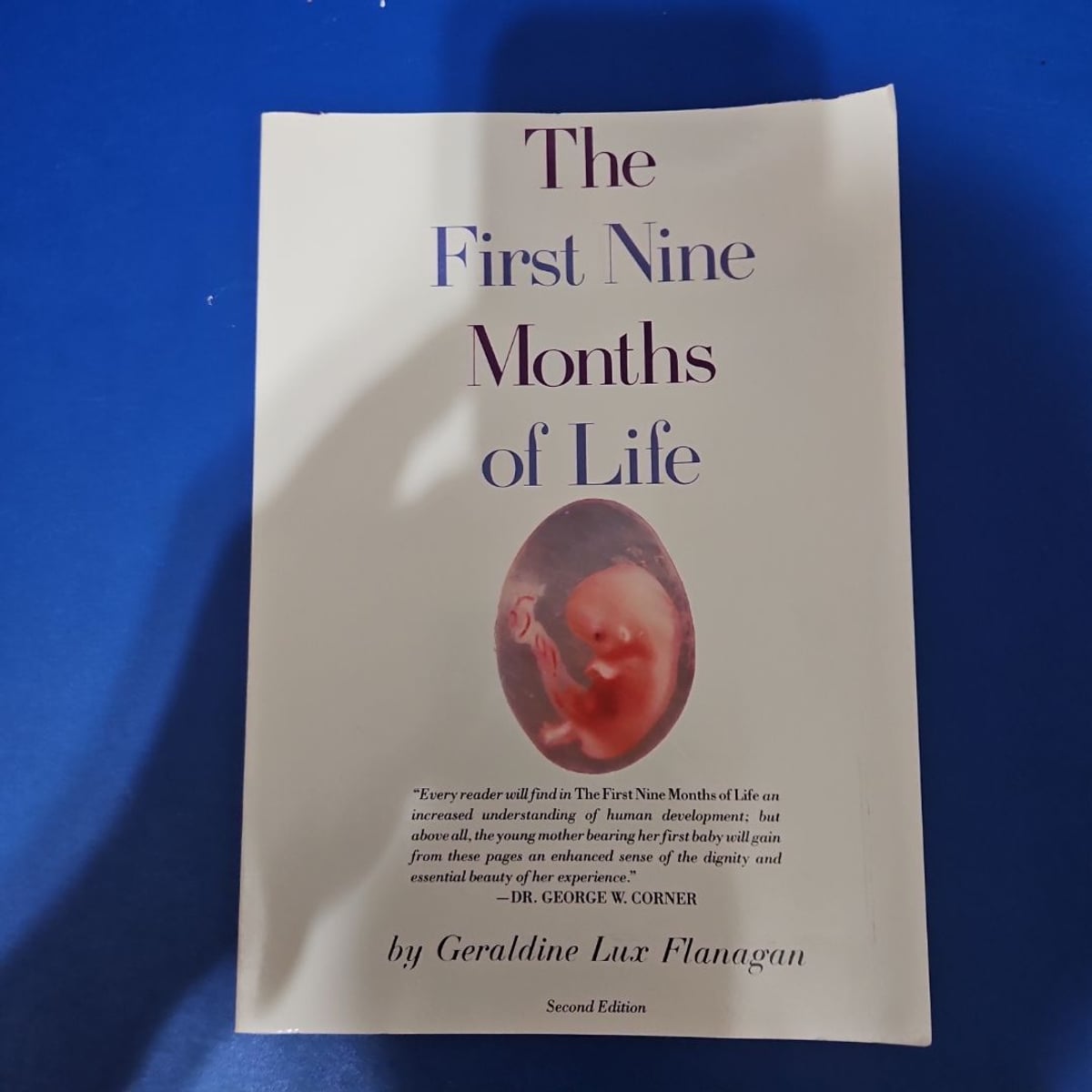 First Nine Months of Life by Geraldine Flanagan