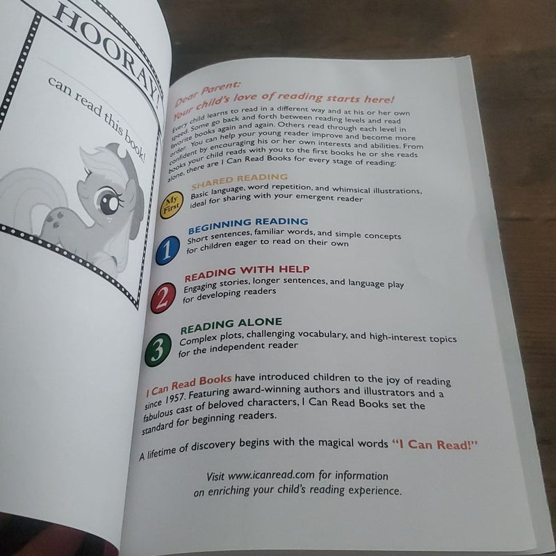 My Little Pony: Sunny's Day