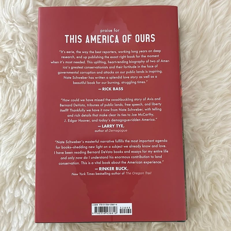 This America of Ours by Nate Schweber, Hardcover | Pangobooks