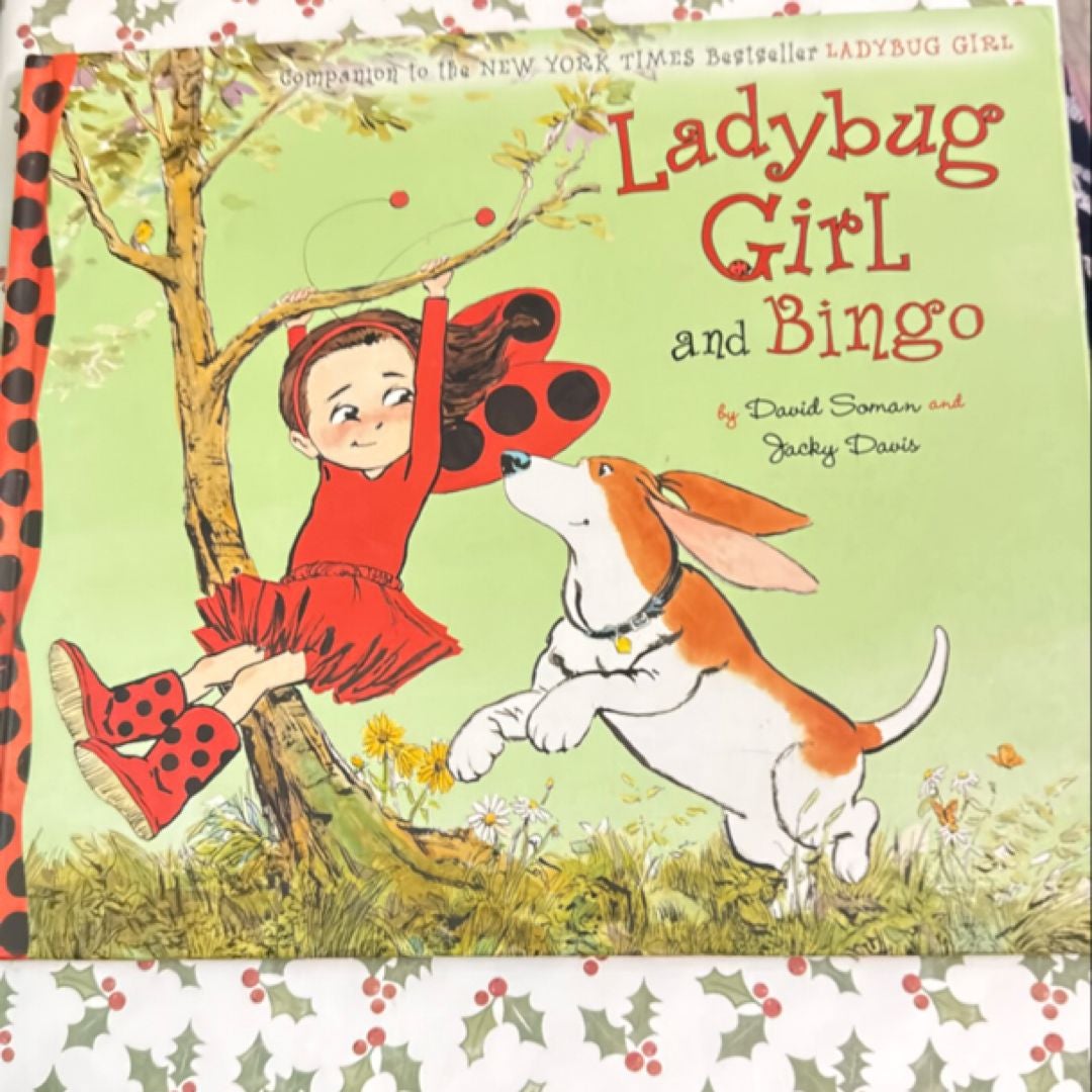 Ladybug Girl and Bingo by Jacky Davis