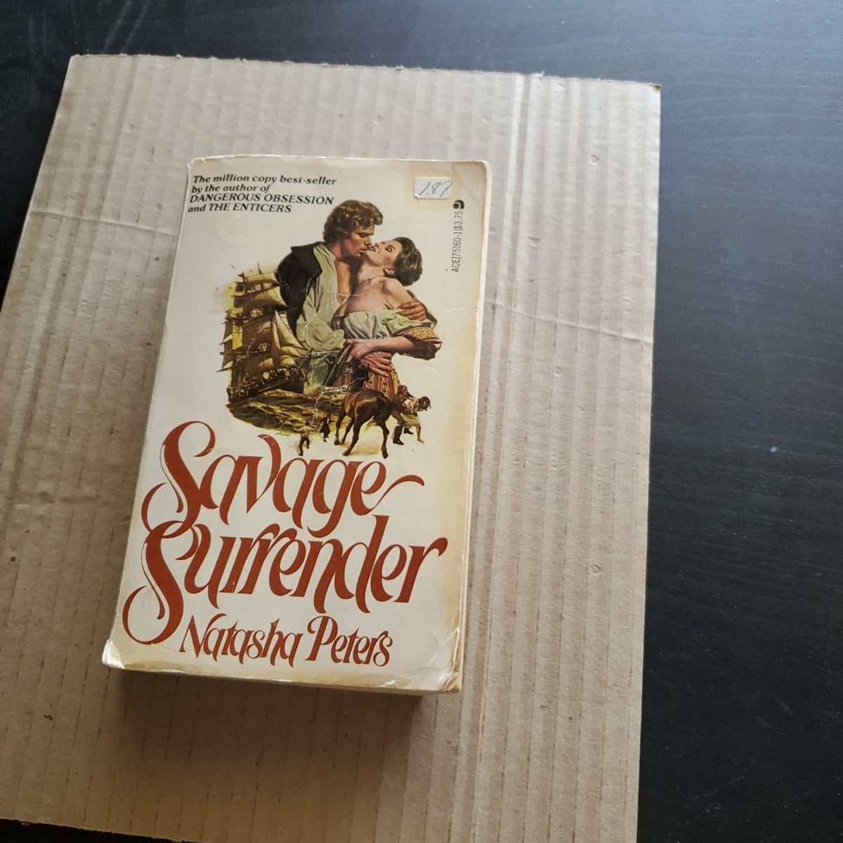 Savage Surrender by Natasha Peters, Paperback | Pangobooks