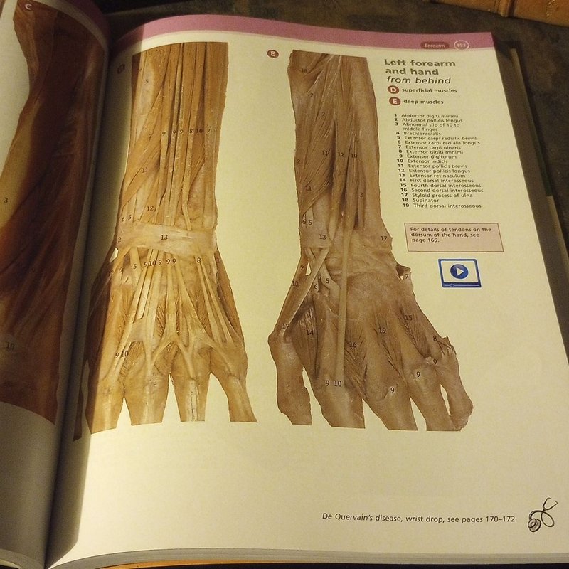 McMinn and Abrahams' Clinical Atlas of Human Anatomy by Peter H ...