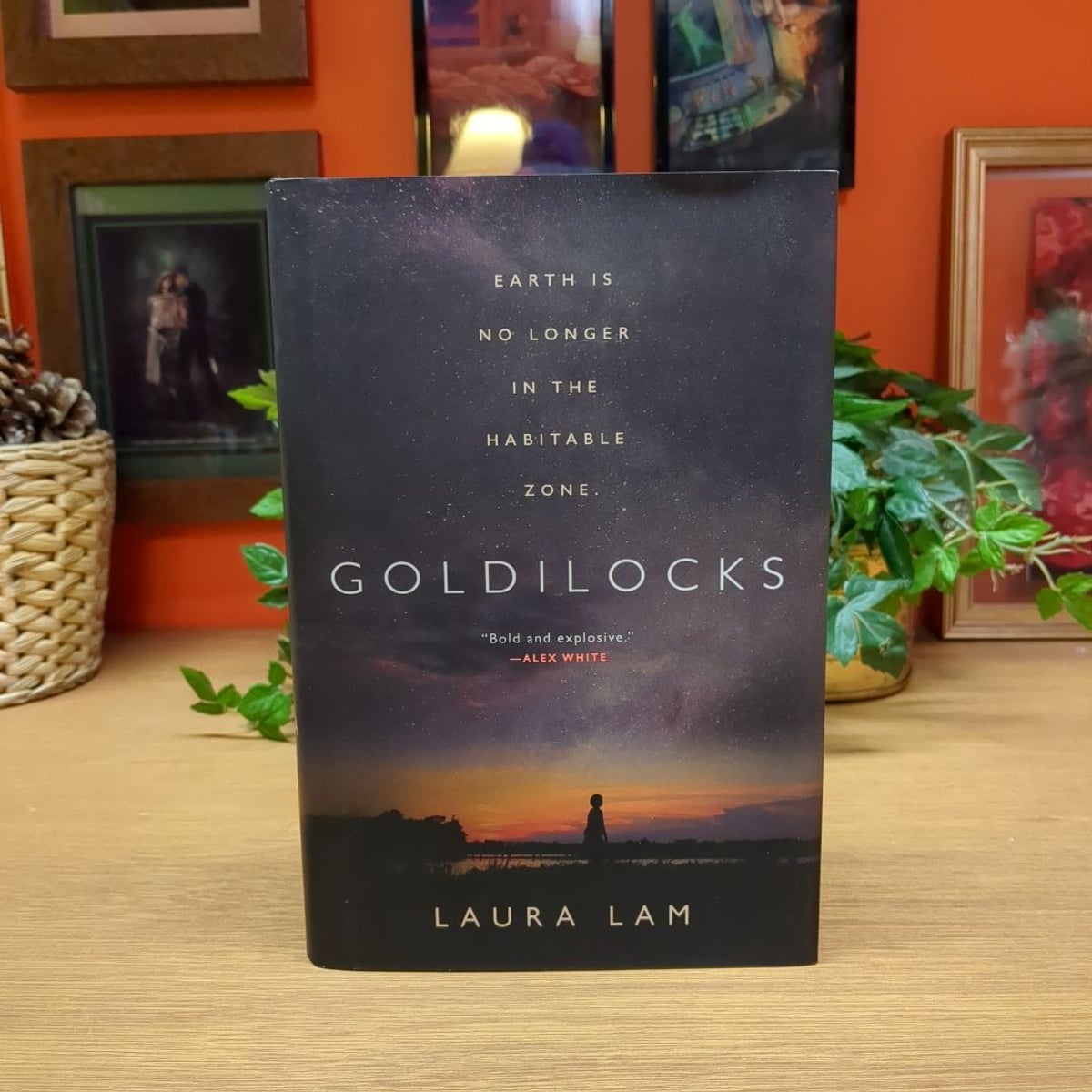 Goldilocks by Laura Lam