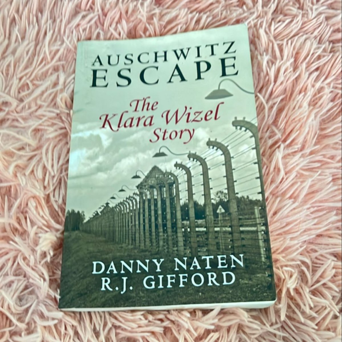 Auschwitz Escape - the Klara Wizel Story by Danny Naten, R. J. Gifford