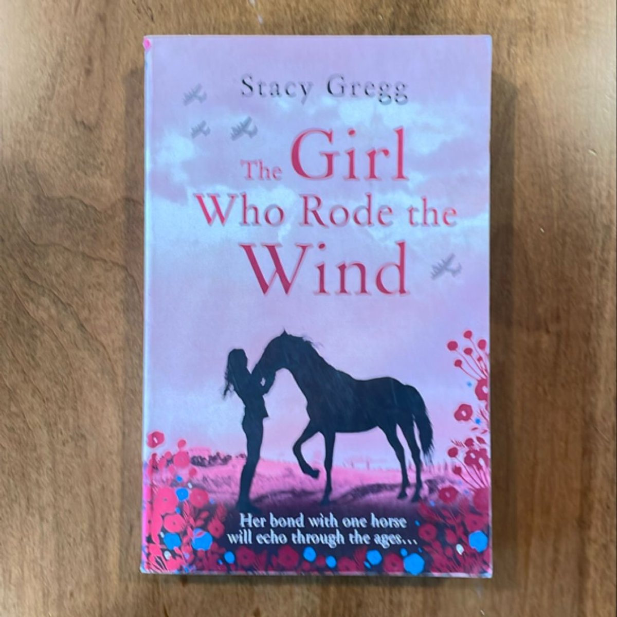 The Girl Who Rode the Wind by Stacy Gregg