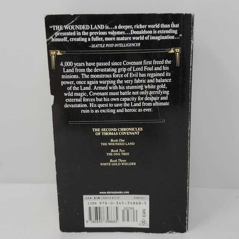 The Wounded Land by Stephen R. Donaldson, Paperback | Pangobooks