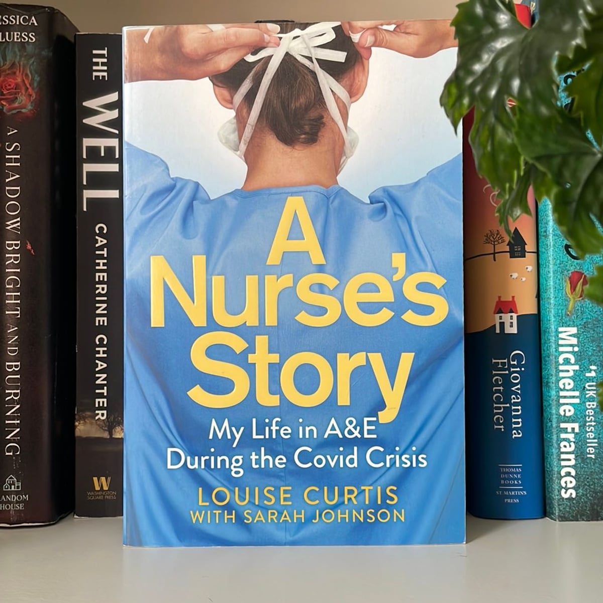 A Nurse's Story by Louise Curtis