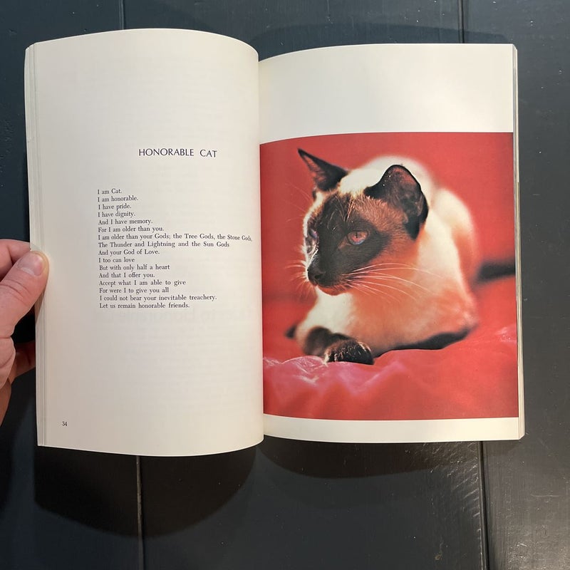 The Honorable Cat by Paul Gallico, Paperback | Pangobooks