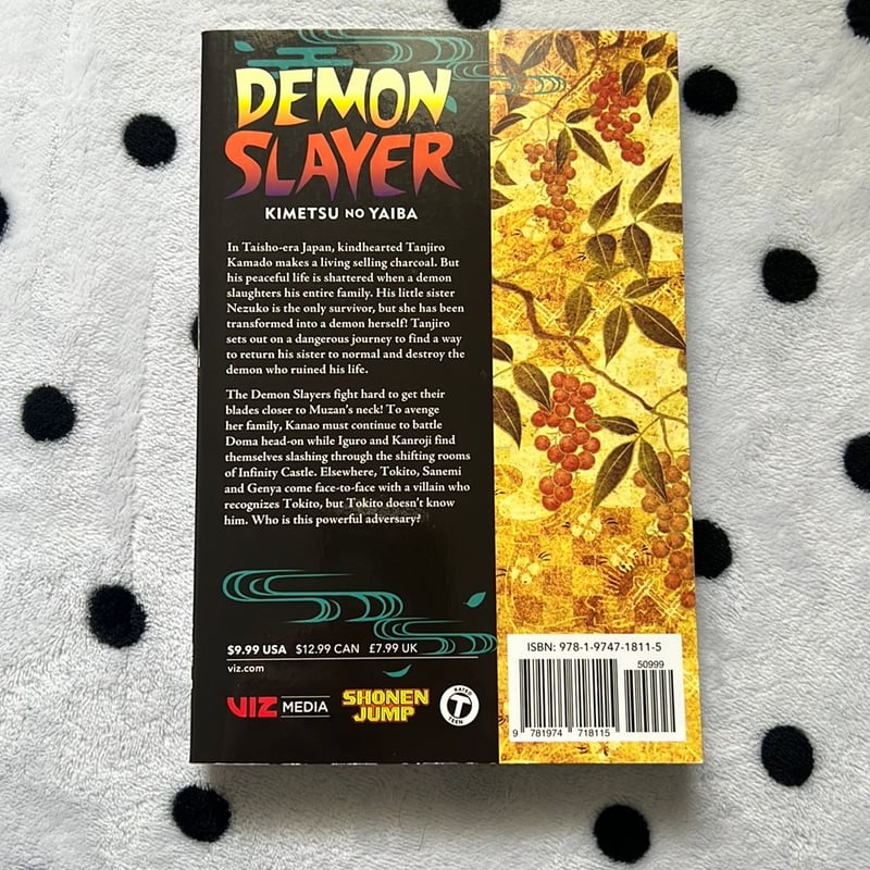 Demon Slayer: Kimetsu No Yaiba, Vol. 19 by Koyoharu Gotouge