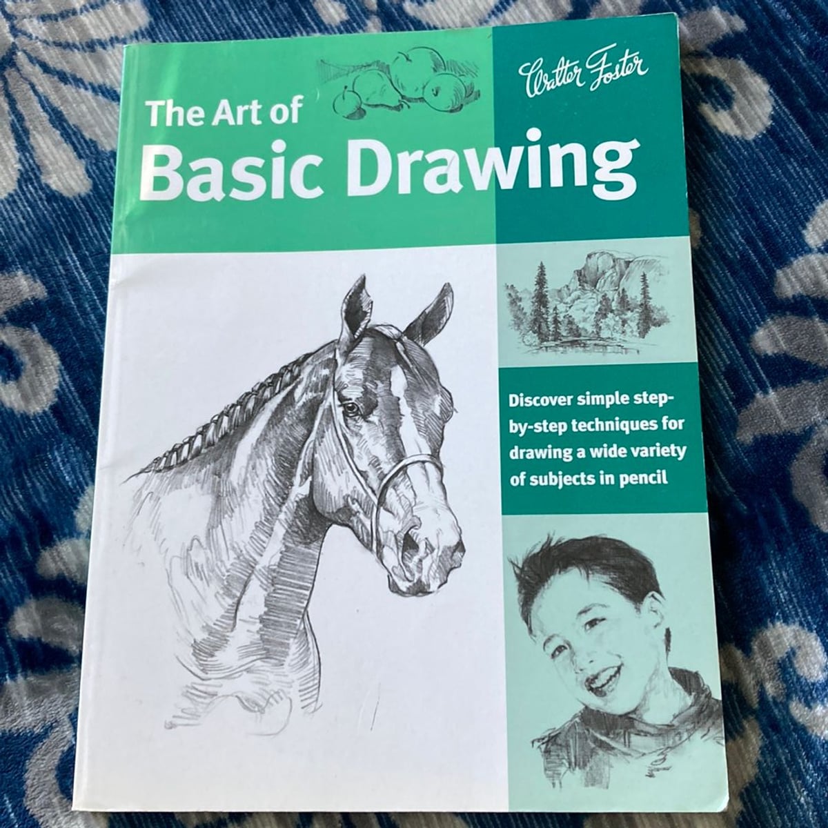 Art of Basic Drawing (Collector's Series) by Walter Foster Creative ...