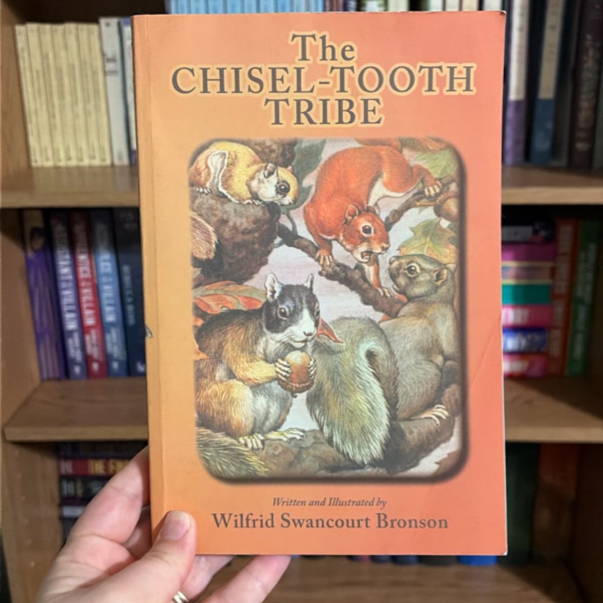 The Chisel-Tooth Tribe by Wilfrid S. Bronson