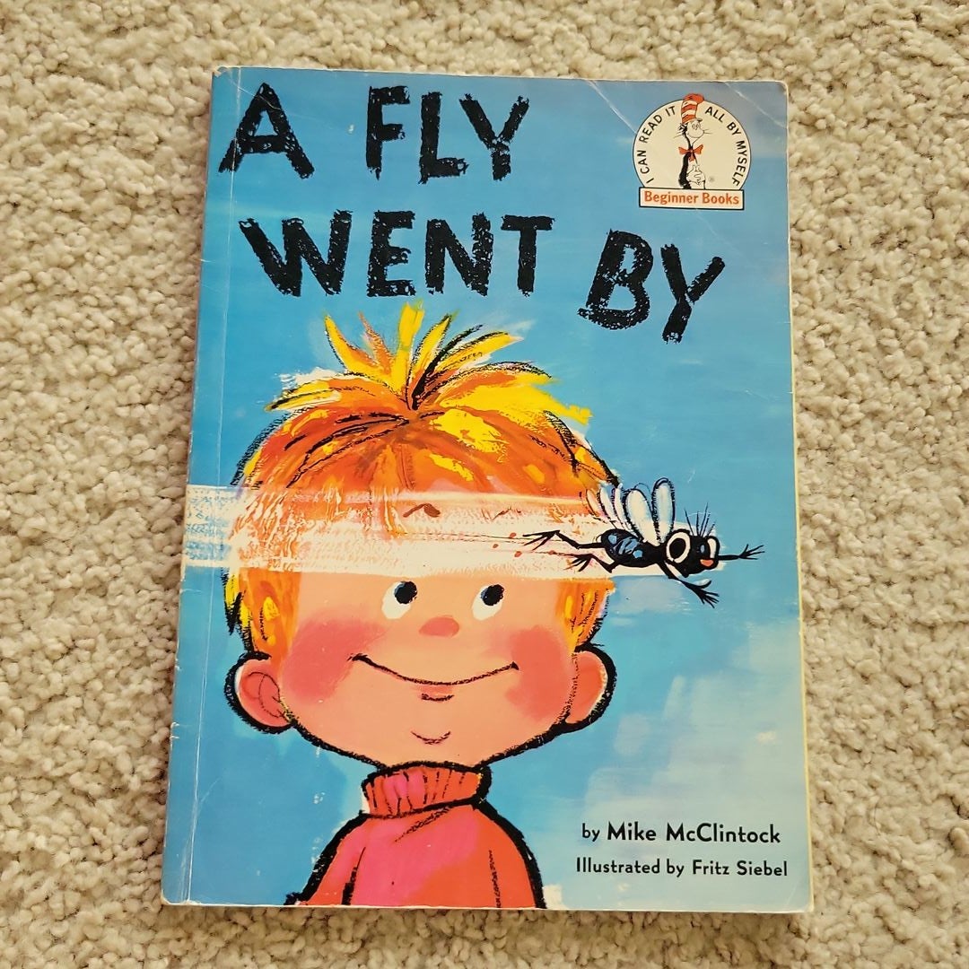 A Fly Went By