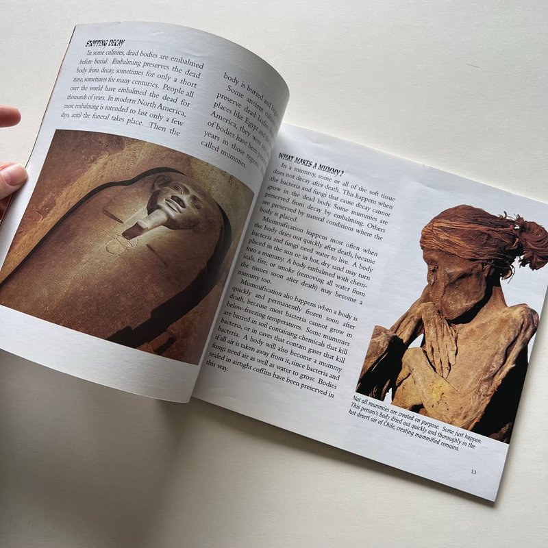 Mummies, Bones, and Body Parts by Charlotte Wilcox