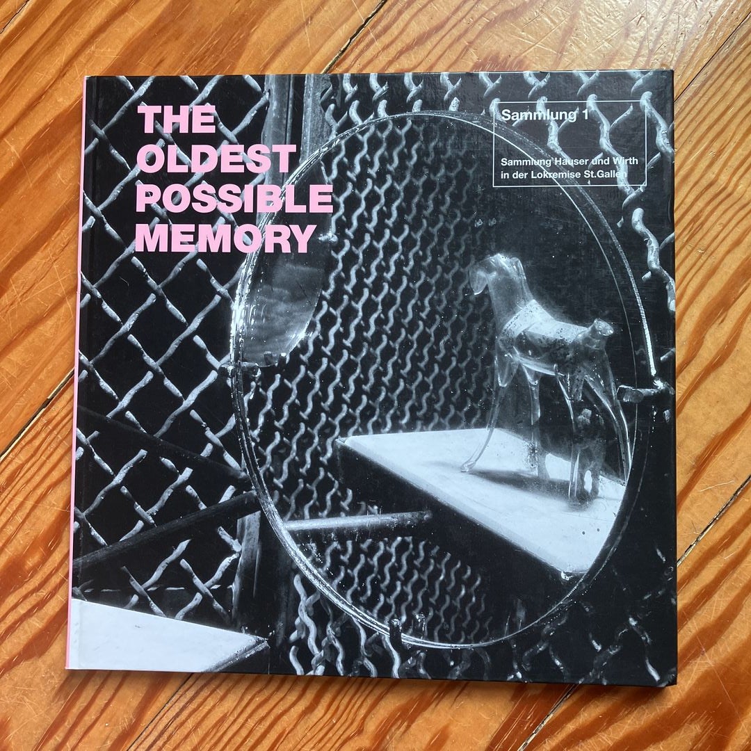 The Oldest Possible Memory by Pipilotti Rist, Roman Signer, Wolfgang ...